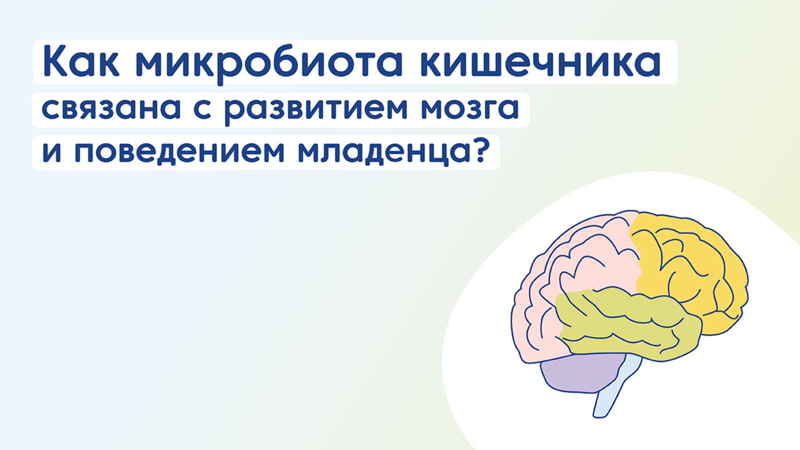 Питание и кишечная микробиота: глобальная роль в развитии мозга ребенка