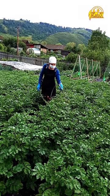 Инсектор Супра