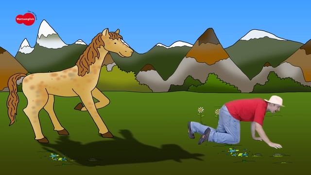 Animals on the Farm New