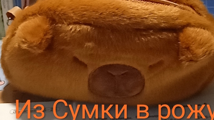 Распоковаваю сумку в виде капибары.