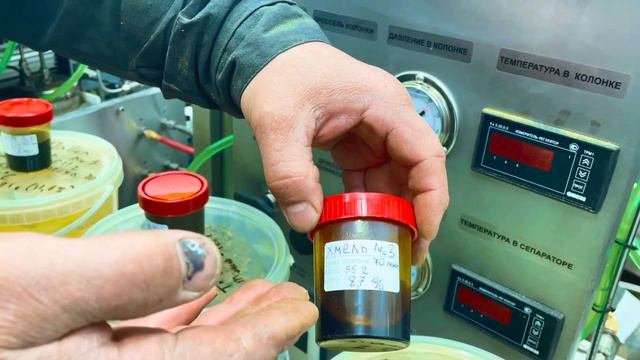 Тестовая докритическая СО2 экстракция хмеля