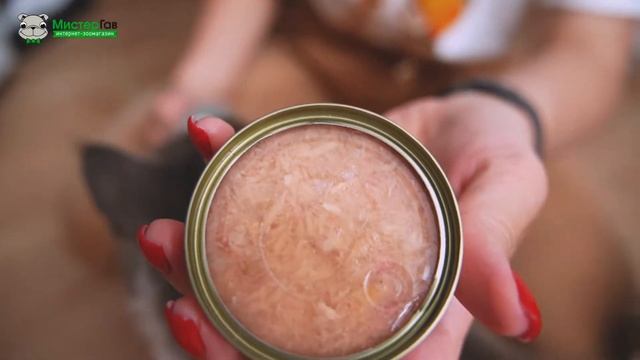 Консервы Мнямс для кошек. Пальчики оближешь!