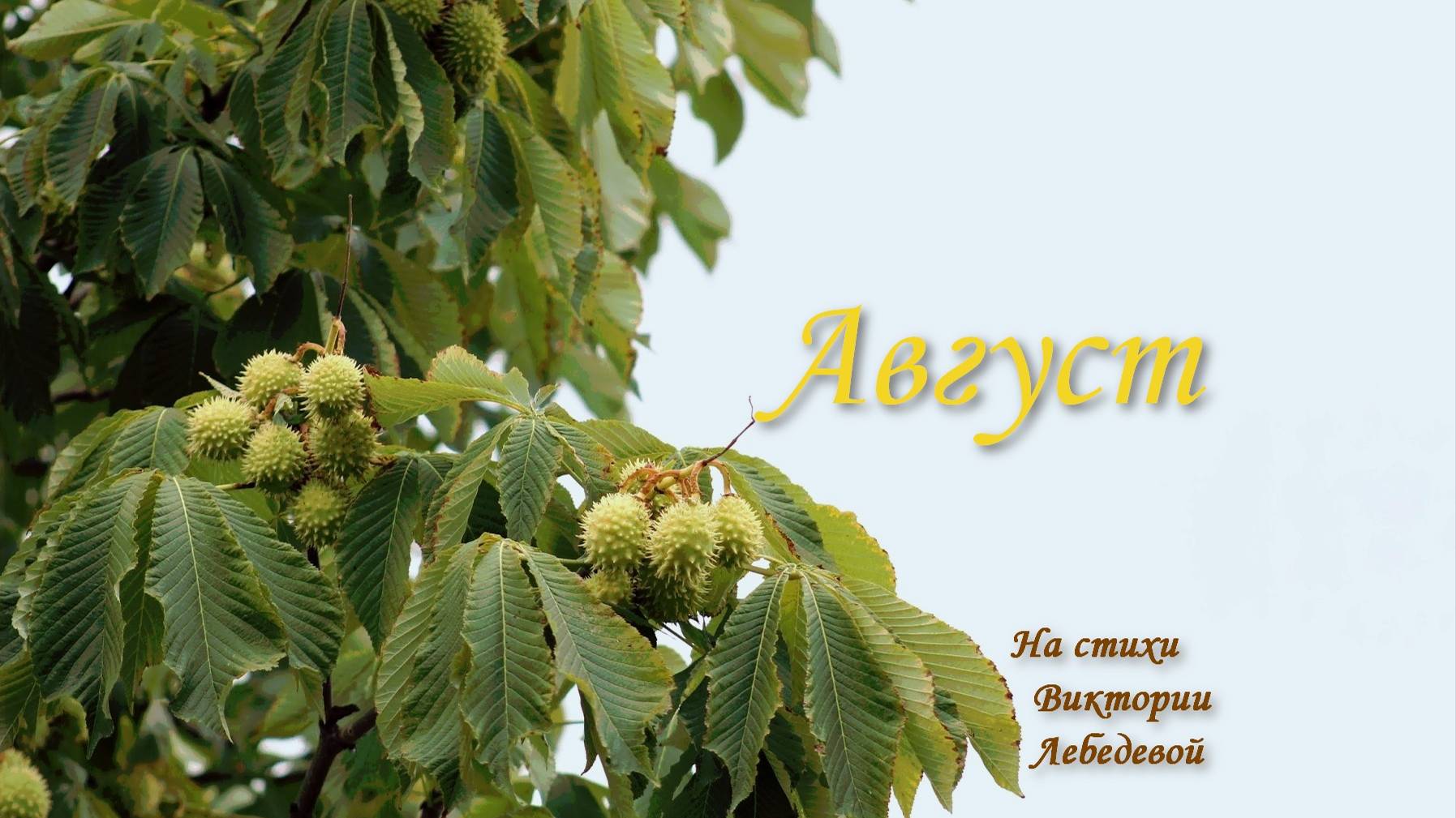 Август (Песня)