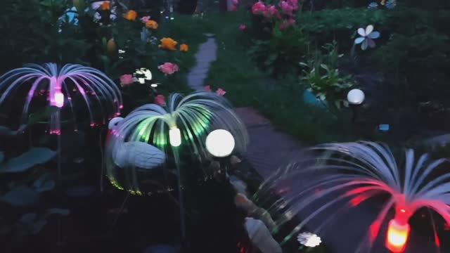 Волшебный летний вечер на даче.