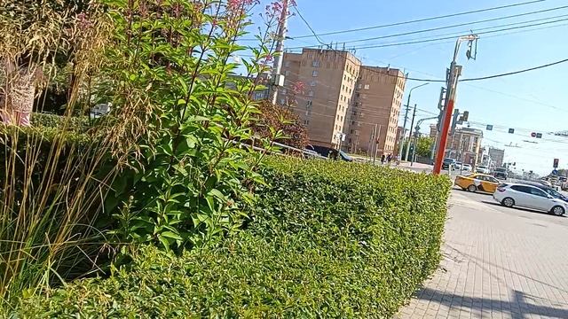 Рязань.Исторический центр,Первомайская улица. Скульптура Гриб Турист гостинца Амакс, ресторан Есенин