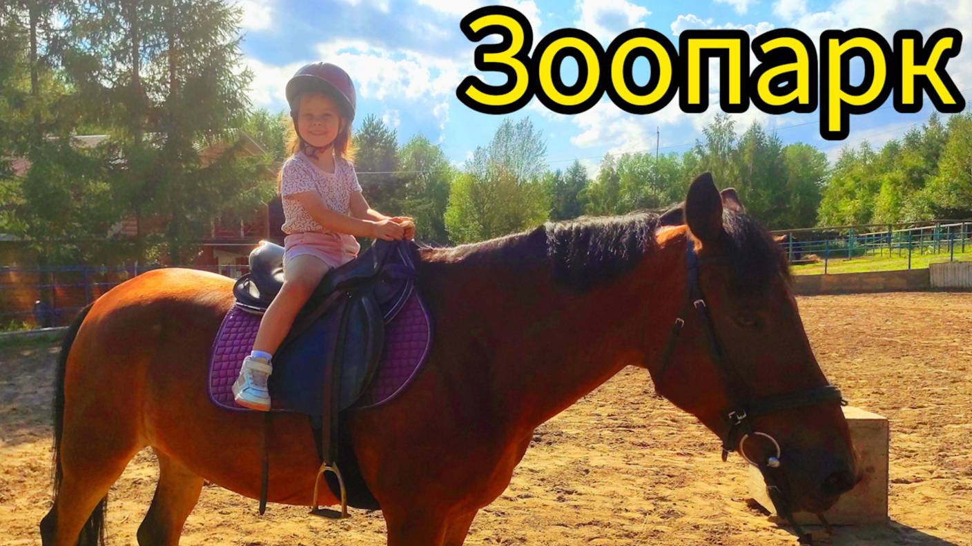 Стрим ❤️ Ава и мама изучают диких животных в зоопарке