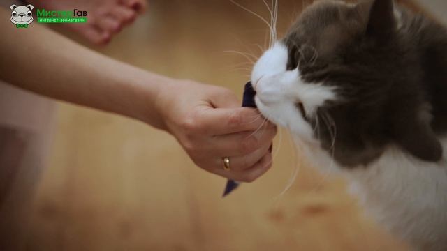 Крем-лакомство Мнямс - Ваша кошка будет в восторге!