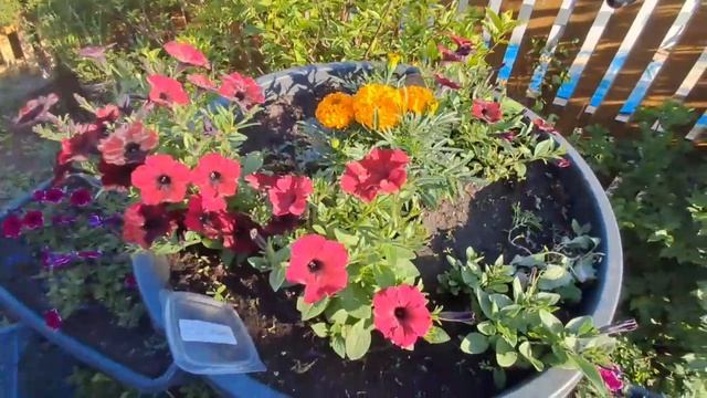 video_2025-07-09_12-27-38