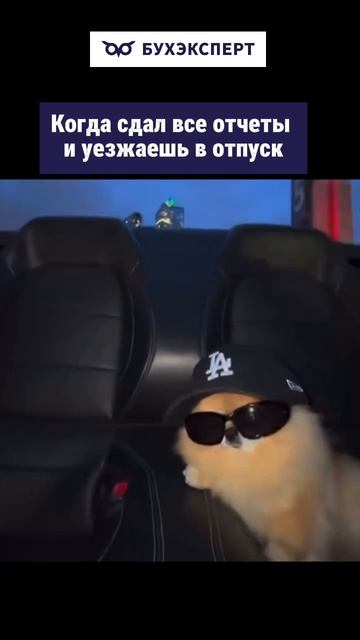 Бухгалтер едет в отпуск #бухюмор