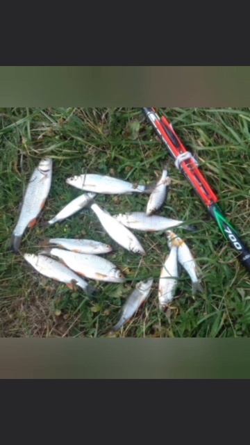 Отпуск: 3 день рыбалки👍 Сегодня около 2 часов рыбалки на моей любимой речке.