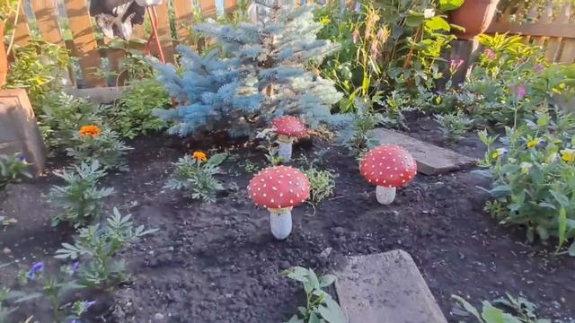 video_2025-07-09_12-28-35