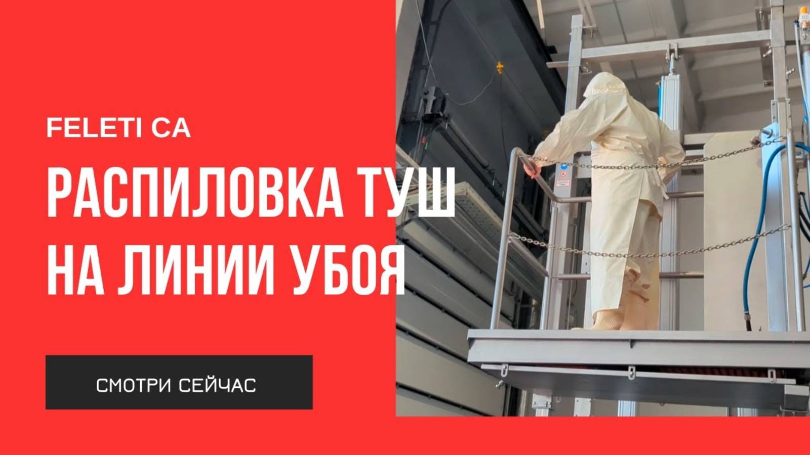 Платформа для распиловки туш FELETI CA