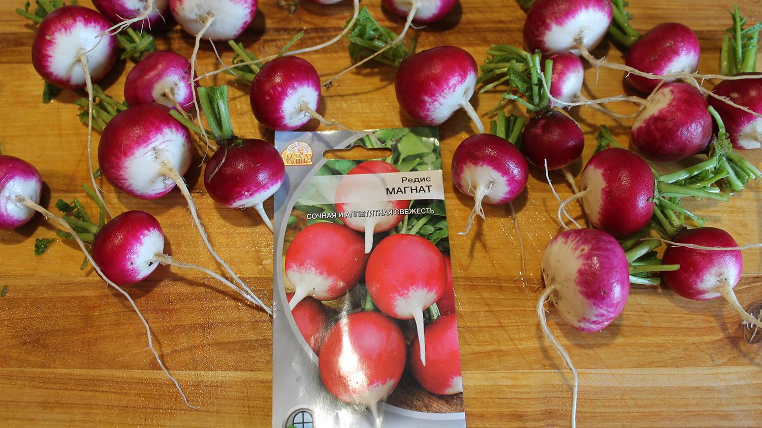 Редис Магнат