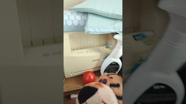 Шайлушай кусал тигра 1! Шайлушай в реальной жизни