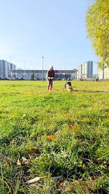 АО Барт и Райда - ловля летящего диска