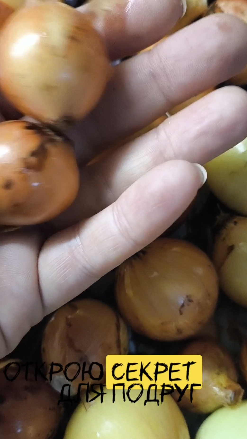 Секрет как вырастить лук))