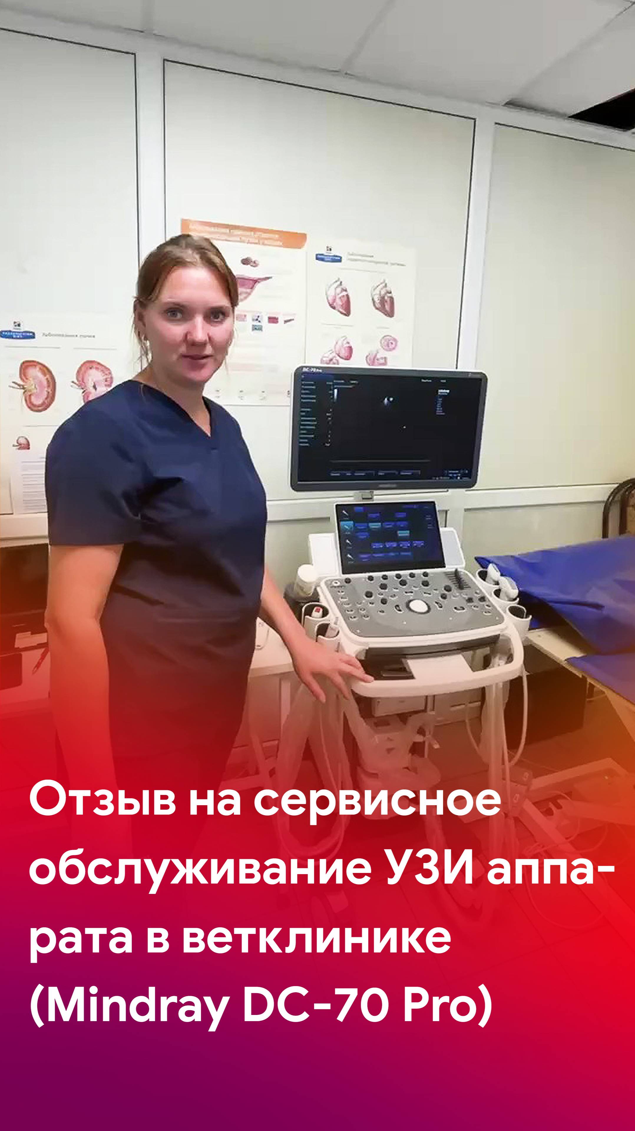 Техническое обслуживание ветеринарных УЗИ аппаратов. Разбор кейса