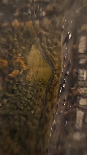 ИИ видео / Все промты и инструкции - в ТГ (ссылка в описании канала)