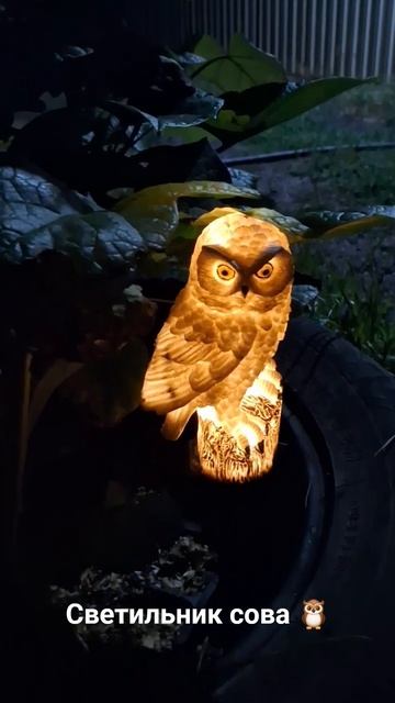 купили светильник сову