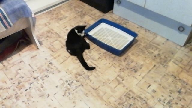 Непорядок! Будем исправлять!