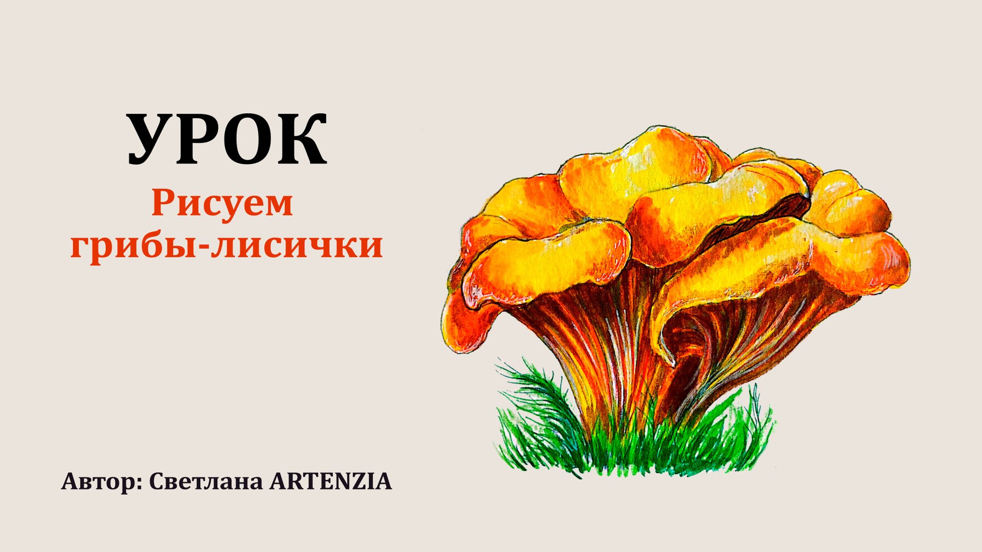 Грибы-лисички