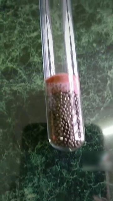 Химическая загадка. Как называется этот предмет?