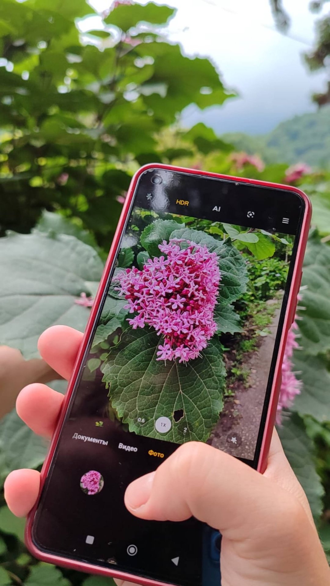 Акармара - город-призрак в Абхазии