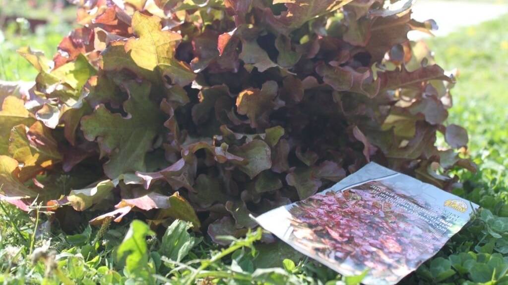 Салат Боярский