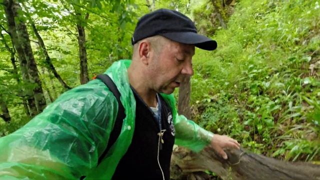 Гора Трезубец  Адыгея