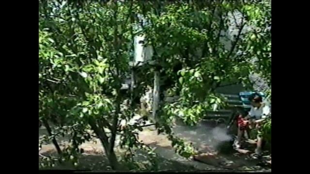 В саду на даче-2