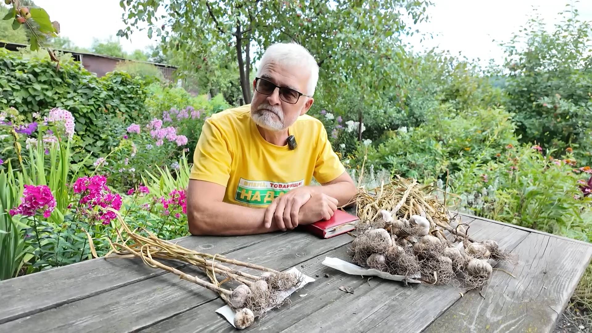 Вперёд, товарищи! На дачу! Выпуск от 05.08.25
