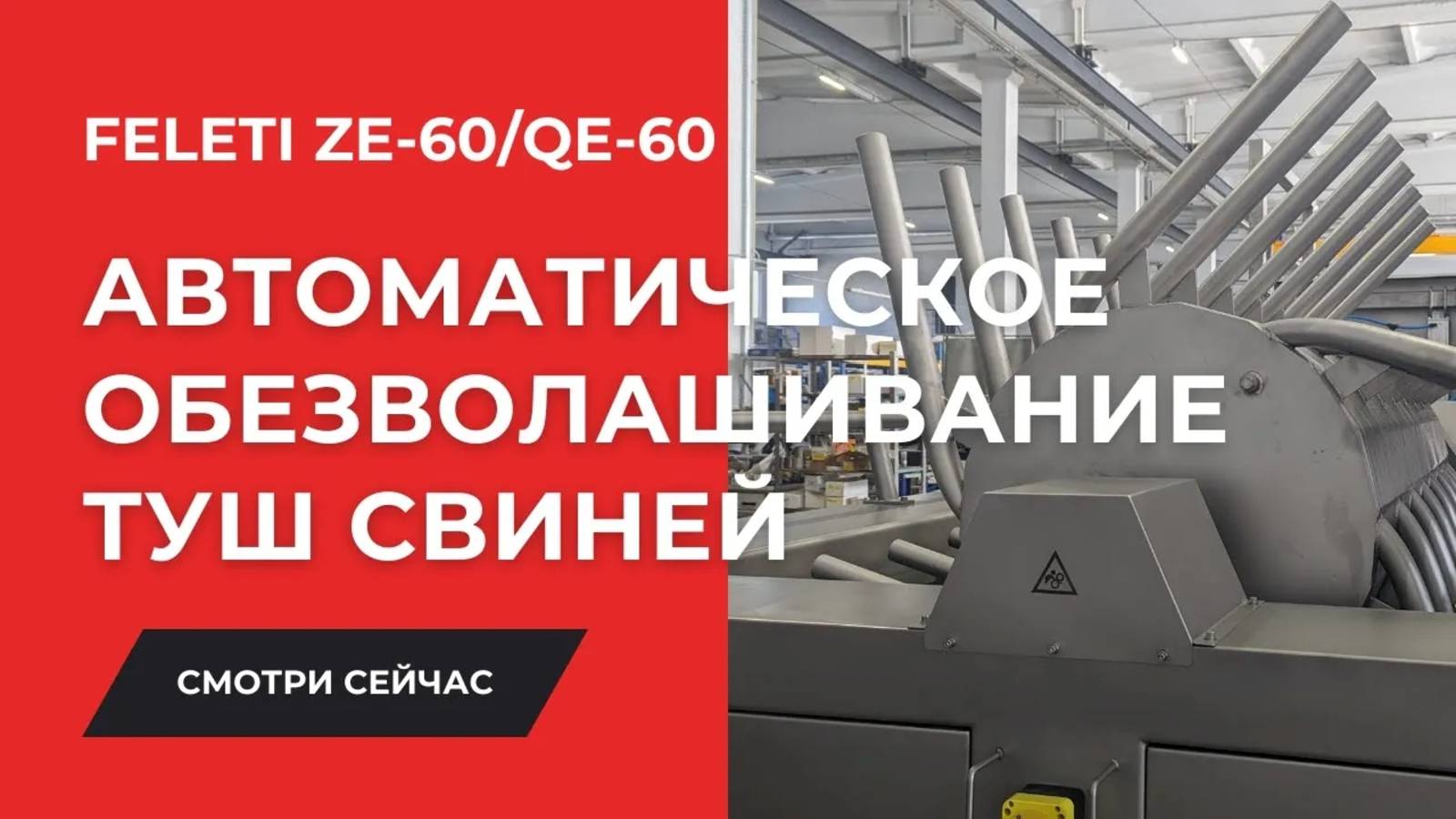 Скребмашина ZE-60 и шпарчан QE-60!