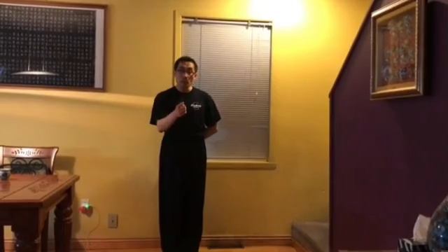 Хай Ян Уроки Синъи (проект «Возвращение китайской практики») на русском языке-12