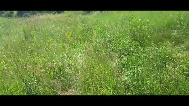 июнь 2025 на память