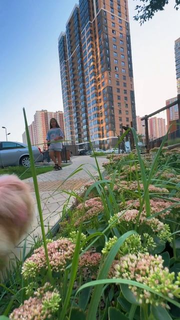 Готовые квартиры в зелёном сердце Краснодара