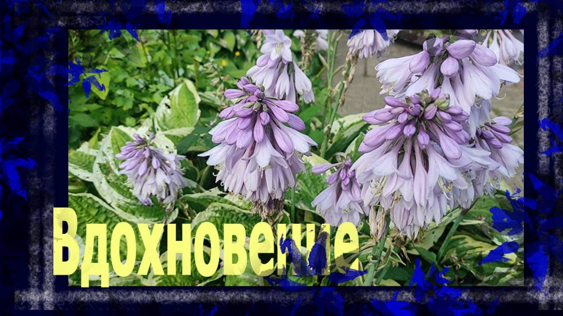 Что нас вдохновляет?..  #болталкаподвязание