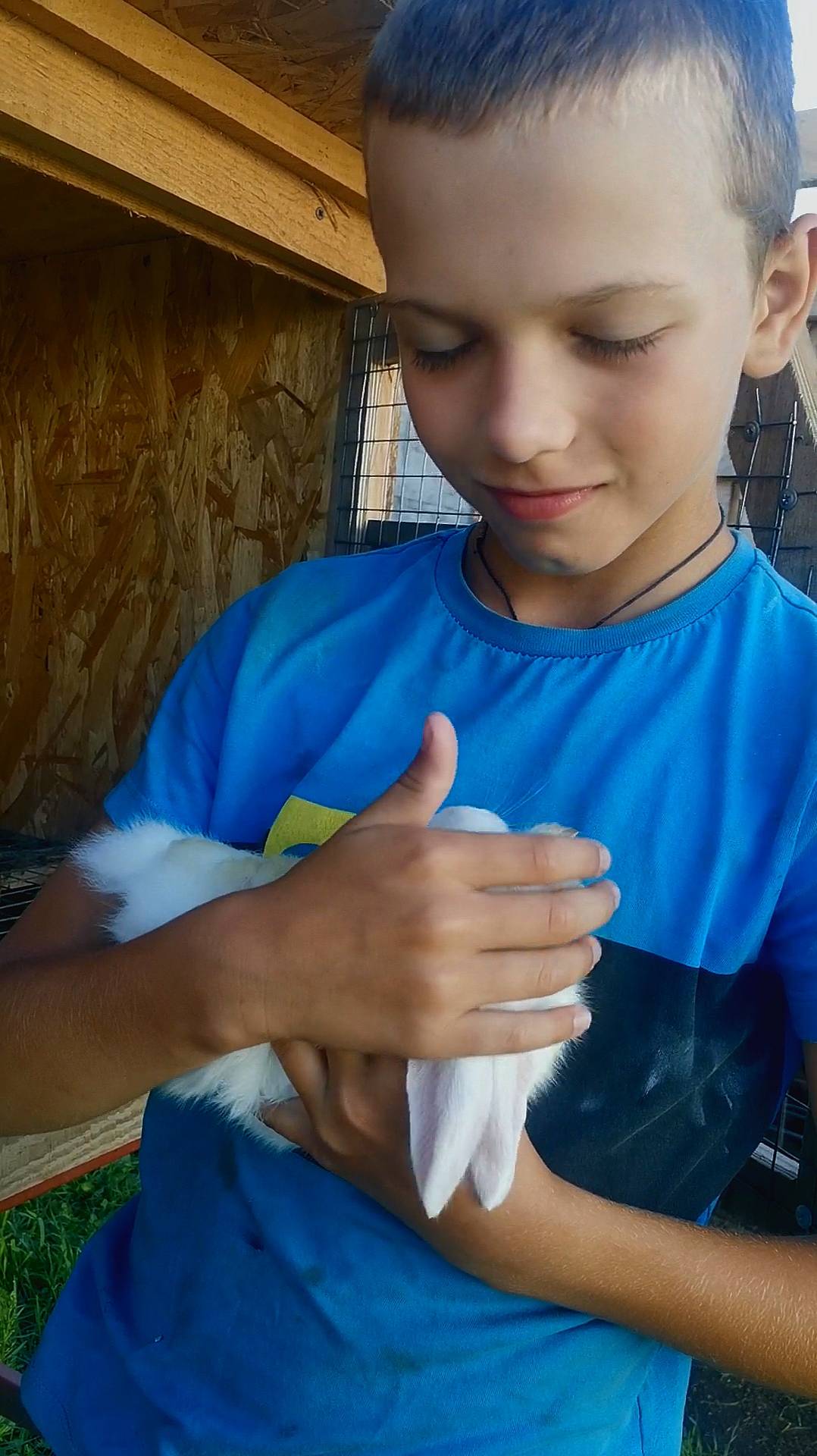 КОРМЁЖКА ПУШИСТИКОВ