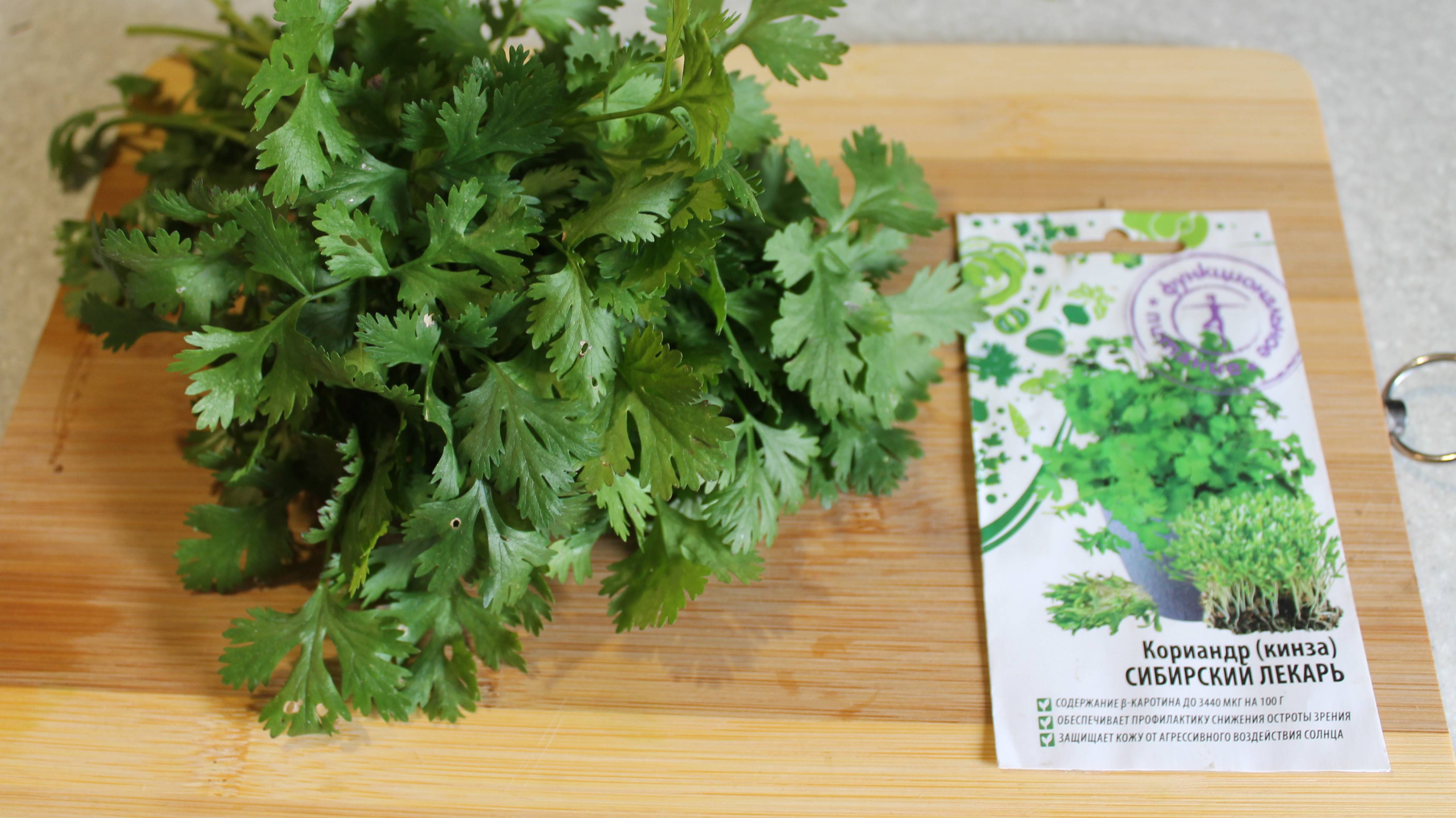 Кинза Сибирский лекарь