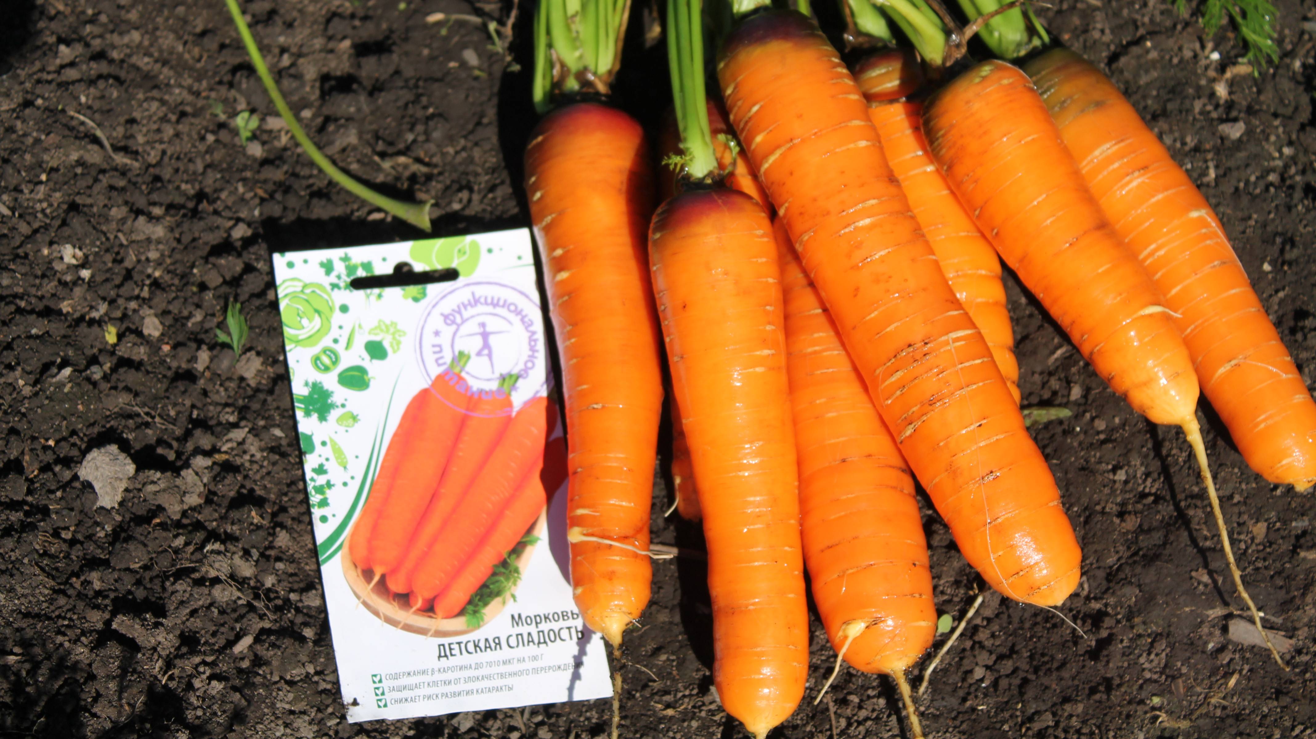 Морковь Детская сладость