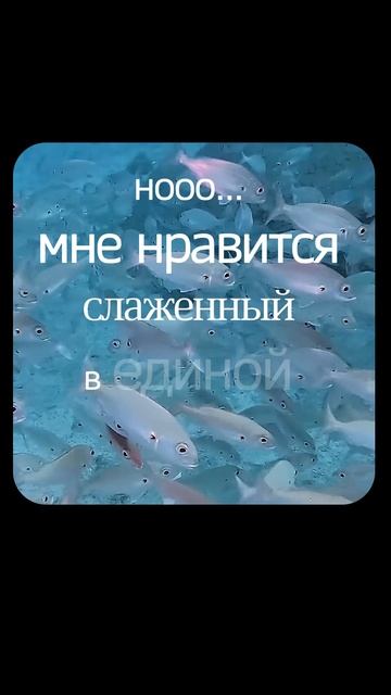 Роман об офисной жизни