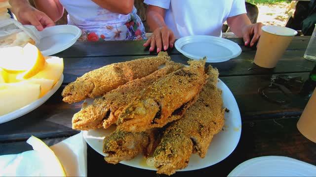 РЫБАЛКА В АБХАЗИИ С ПОДПИСЧИКАМИ