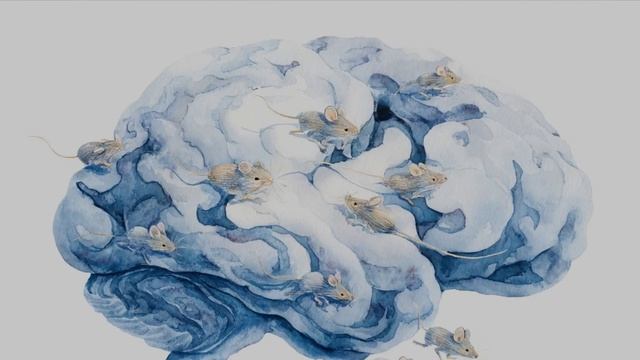 На Московской крыше