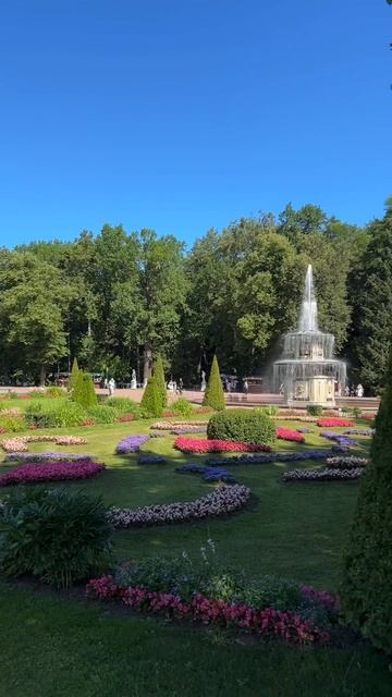 17 июля 2024 г.