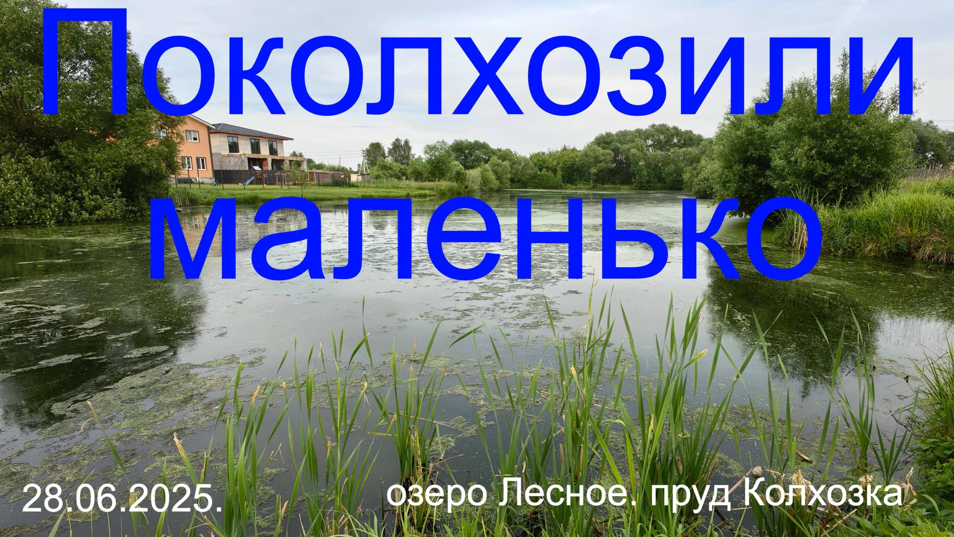 Поколхозили маленько.28.06.2025. Лесное озеро. Пруд Колхозка. Рыбалка в Подмосковье.