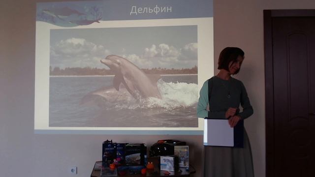 Электронная модельная библиотека. Загадочная стихия