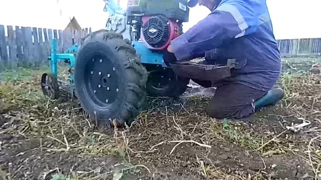 Мотоблок Нева плюс грохотная копалка. Копаю картошку