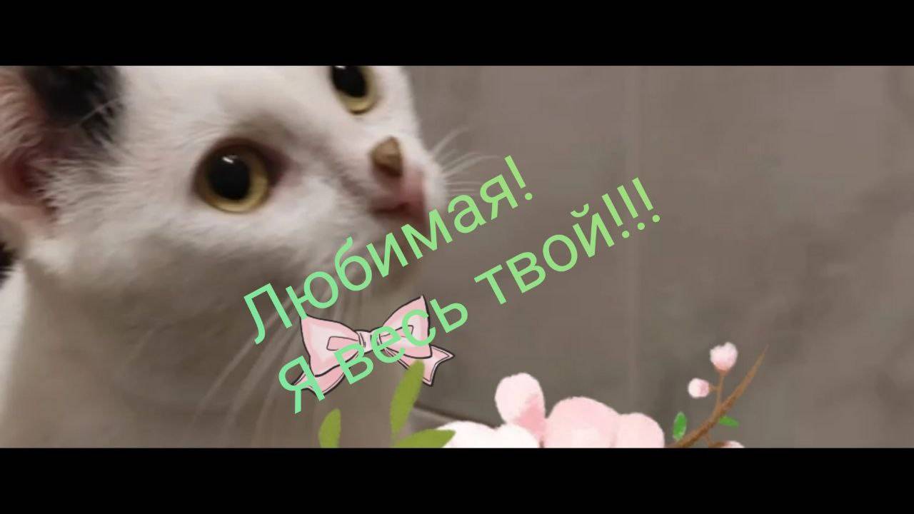 Зачем мне медаль - орден давай!!!!