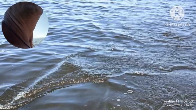 Троллинг на Судака на Белом озере на фарватере . Июль 2025