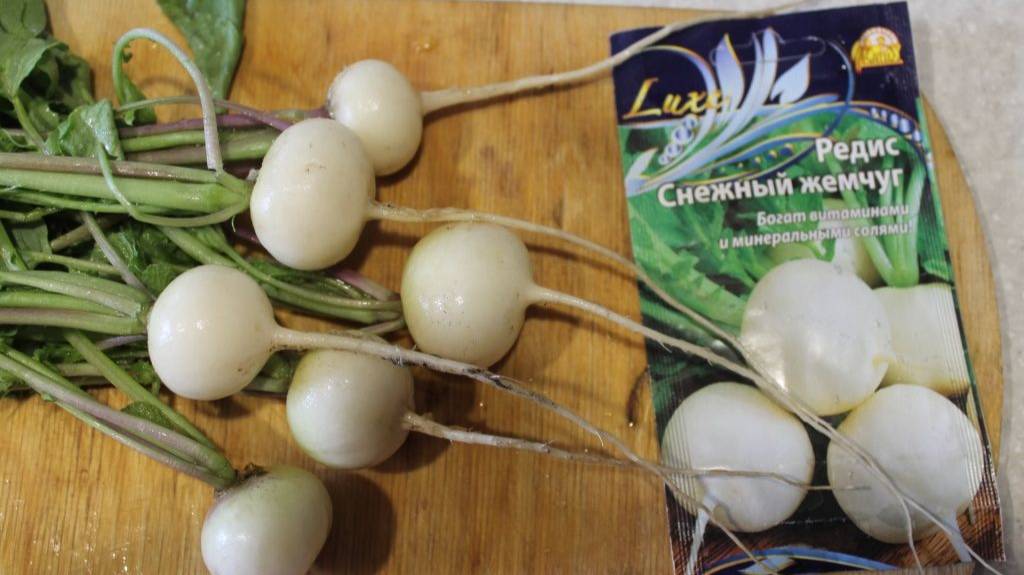 Редис Снежный жемчуг