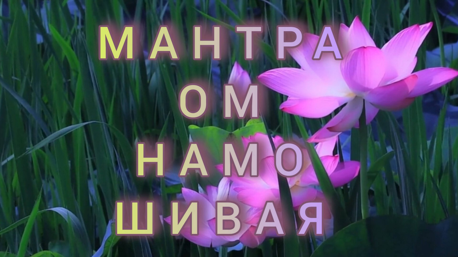 🟢Мантра ОМ НАМО ШИВАЯ
